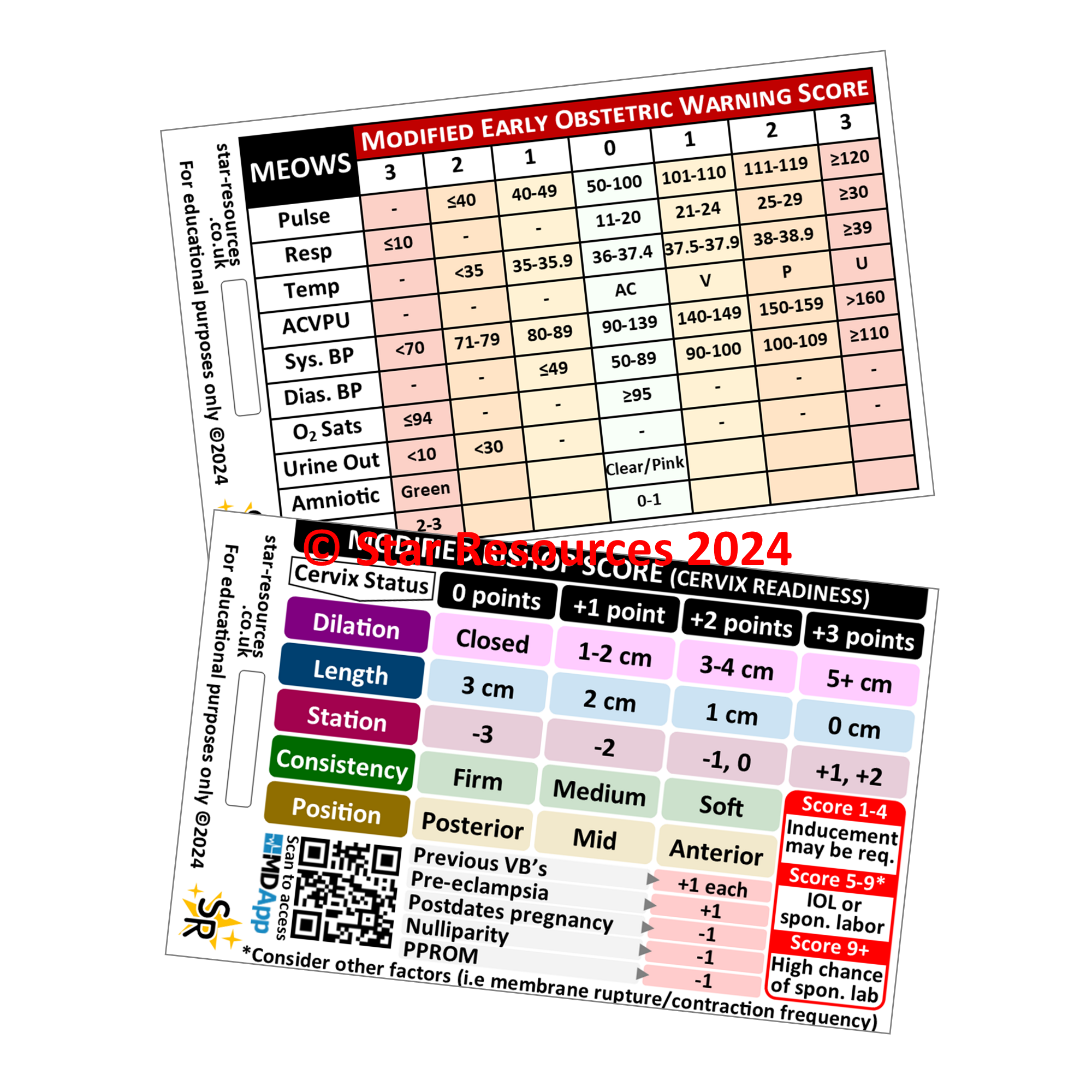 Paramedic EMT ECA ST John, Medical Reference Lanyard Reference Cards ID ...